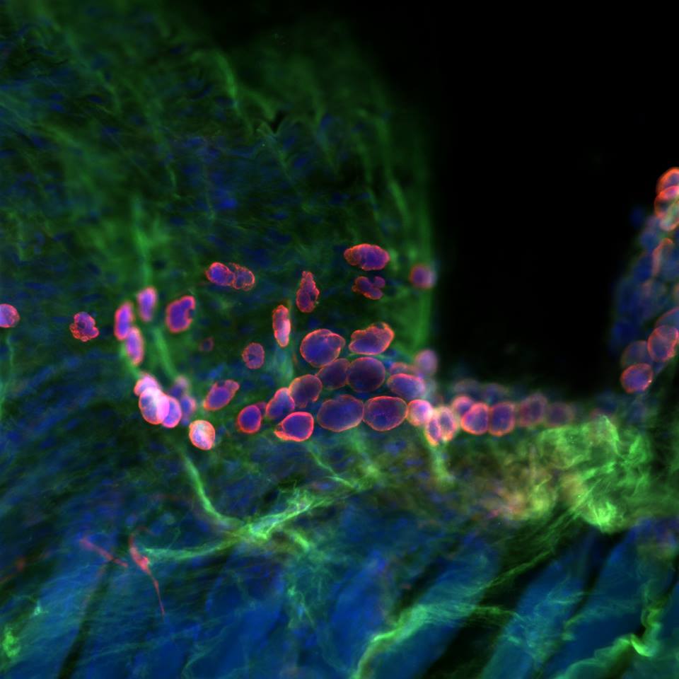 Photo of the month | Signals Blog