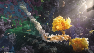 Right Turn: Osmosis Jones redux | Signals Blog