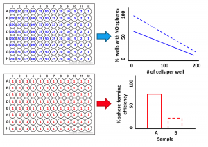 Inside a cancer stem cell researcher’s tool box: Sphere formation ...