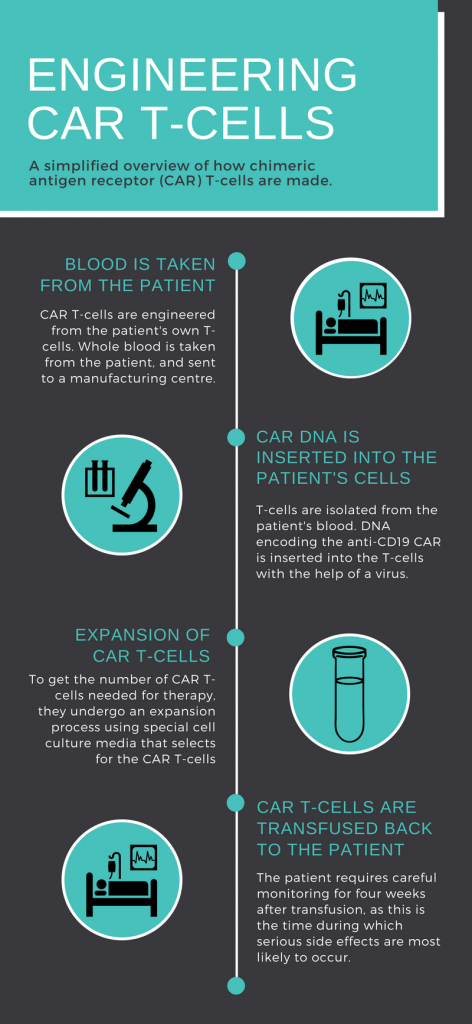 Explaining the hype: CAR T cells | Signals Blog