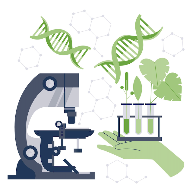 Sustainability in CGT: Evaluating LCA and manufacturing approaches ...